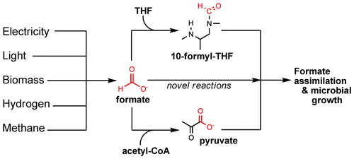 Formate Assimilation: The Metabolic Architecture of Natural and ...