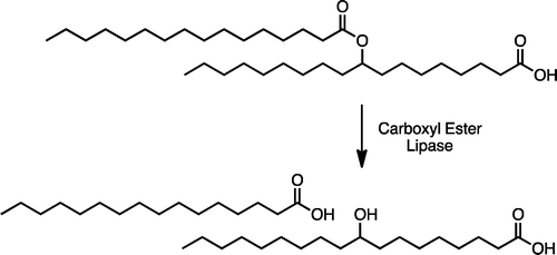 Branched Fatty Acid Esters of Hydroxy Fatty Acids Are Preferred ...