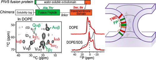Solid-State Nuclear Magnetic Resonance Investigation of the Structural ...