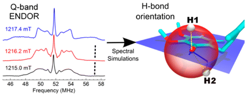 Q-Band Electron-Nuclear Double Resonance Reveals Out-of-Plane Hydrogen ...