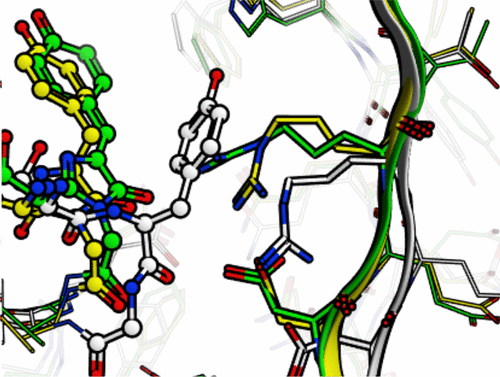 Mispacking and the Fitness Landscape of the Green Fluorescent Protein ...