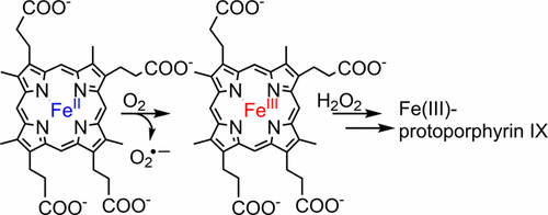 Reactions of Ferrous Coproheme Decarboxylase (HemQ) with O2 and H2O2 ...