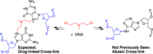 A New Cross-Link for an Old Cross-Linking Drug: The Nitrogen Mustard ...