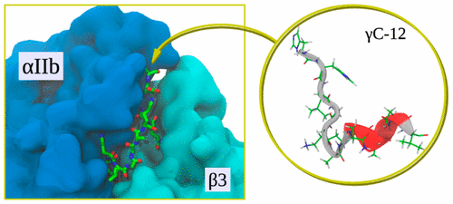 RGD和AGDV肽与血小板整合素αIIbβ3结合的机理基础,Biochemistry - X-MOL