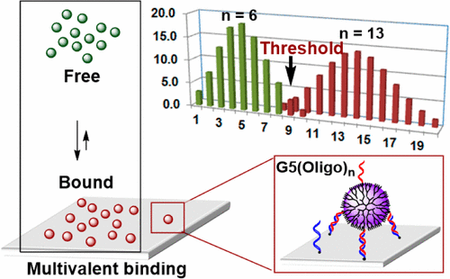 Ligand Characteristics Important to Avidity Interactions of Multivalent ...