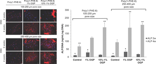 OGP Functionalized Phenylalanine-Based Poly(ester urea) for Enhancing ...