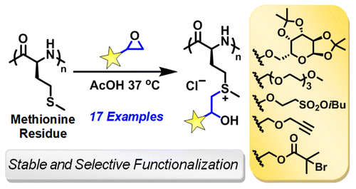 Versatile Synthesis of Stable, Functional Polypeptides via Reaction ...