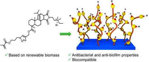 Antibacterial and Biofilm-Disrupting Coatings from Resin Acid-Derived ...