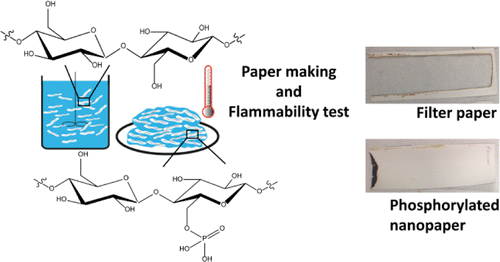 Phosphorylated Cellulose Nanofibrils: A Renewable Nanomaterial for the ...