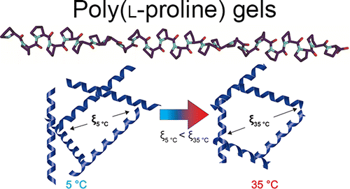 Thermoresponsive and Mechanical Properties of Poly(l-proline) Gels ...