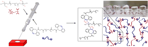 通过应变促进的炔-叠氮化物环加成反应（SPAAC）交联的聚乙二醇水凝胶的性质,Biomacromolecules - X-MOL