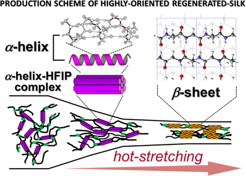 从α-螺旋-HFIP配合物到β-Sheet的热拉伸诱导转变，提高了丝绸的分子取向,Biomacromolecules - X-MOL