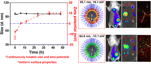 Polymeric Micelles with Uniform Surface Properties and Tunable Size and ...