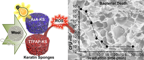 具有轻触发的抗菌活性的羊毛角蛋白3D支架,Biomacromolecules - X-MOL