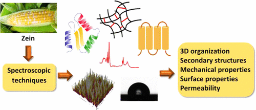 Advances in Understanding the Molecular Structures and Functionalities ...