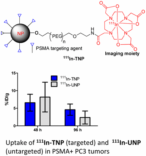111In- and IRDye800CW-Labeled PLA–PEG Nanoparticle for Imaging Prostate-Specific Membrane ...