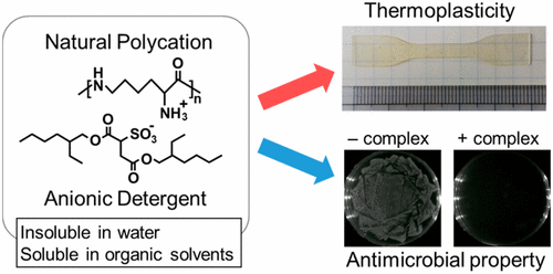 Antimicrobial Activity of ε-Poly-l-lysine after Forming a Water ...