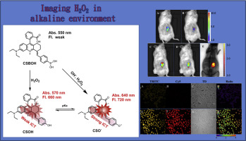 A novel near-infrared fluorescent probe for H2O2 in alkaline ...