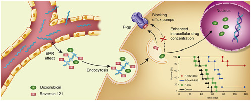 Overcoming multidrug resistance via simultaneous delivery of cytostatic drug and P-glycoprotein ...