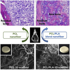 三维电纺PCL / PLA共混纳米纤维支架，具有显着改善的干细胞成骨分化和颅骨形成,Biomaterials - X-MOL