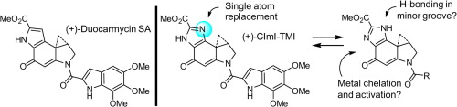 Synthesis and evaluation of duocarmycin SA analogs incorporating the ...