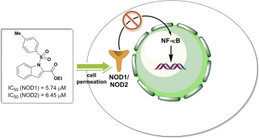 Identification of indole scaffold-based dual inhibitors of NOD1 and ...