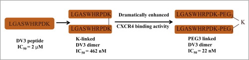 Design, synthesis, and biological characterization of novel PEG-linked ...