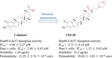 Optimization and biological evaluation of celastrol derivatives as ...