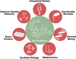 New antibiotics from Nature’s chemical inventory,Bioorganic & Medicinal ...