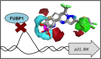 吡唑并[1,5a]嘧啶类作为新型FUSE结合蛋白1（FUBP1）抑制剂,Bioorganic & Medicinal Chemistry - X-MOL