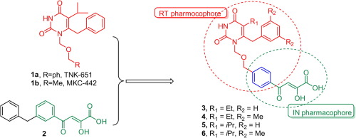 Advances in rationally designed dual inhibitors of HIV-1 reverse ...