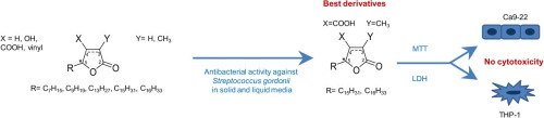 潜在抗菌丁内酯的设计，合成和生物学评价,Bioorganic & Medicinal Chemistry - X-MOL