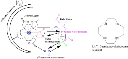 Cyclen-based Gd3+ Complexes as MRI Contrast Agents: Relaxivity ...