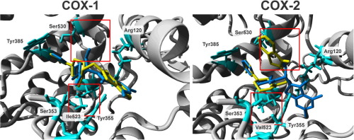 异噻唑并吡啶衍生物的合成，COX-1 / 2抑制活性及分子对接研究,Bioorganic & Medicinal Chemistry - X-MOL