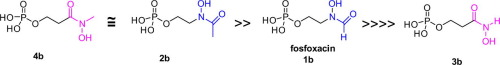 Synthesis and biological evaluation of phosphate isosters of ...