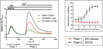 Evaluation of known and novel inhibitors of Orai1-mediated store ...