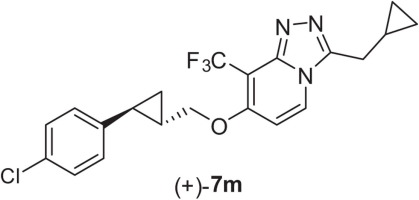 Triazolopyridine Ethers as Potent, Orally Active mGlu2 Positive ...