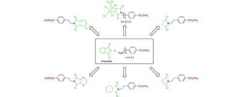 含苯磺酰胺部分作为碳酸酐酶I，II，IV和IX抑制剂的环状酰亚胺的合成和生物学评估,Bioorganic & Medicinal ...