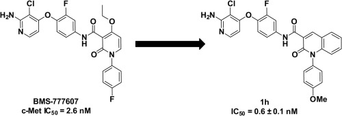 Design, synthesis and biological evaluation of c-Met kinase inhibitors ...