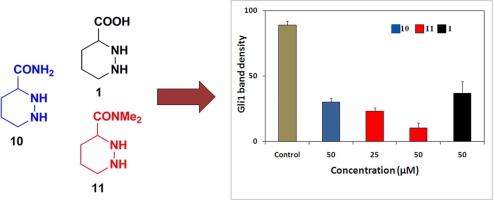 Piperazic acid derivatives inhibit Gli1 in Hedgehog signaling pathway ...