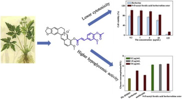 Synthesis and hypoglycemic activity of 9-O-(lipophilic group ...