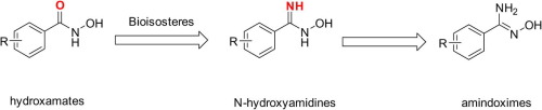 Design, synthesis and in vitro evaluation of amidoximes as histone ...