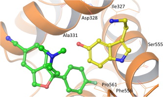 Exploration of insights, opportunities and caveats provided by the X ...