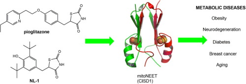 Identification of small molecules that bind to the mitochondrial ...