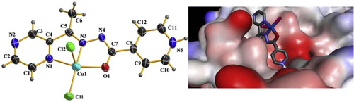 基于配体的单核Cu（II）配合物的制备，表征和生物学特征,Bioorganic & Medicinal Chemistry Letters ...