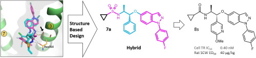 吲唑醚作为新型，有效，非甾体糖皮质激素受体调节剂的发现,Bioorganic & Medicinal Chemistry Letters ...