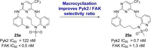 FAK和Pyk2之间的选择性切换：FAK抑制剂的大环化可提高Pyk2的效力,Bioorganic & Medicinal Chemistry ...