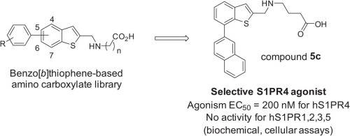 A benzo[b]thiophene-based selective type 4 S1P receptor agonist ...