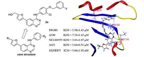 Synthesis and in vitro biological evaluation of novel quinazoline ...