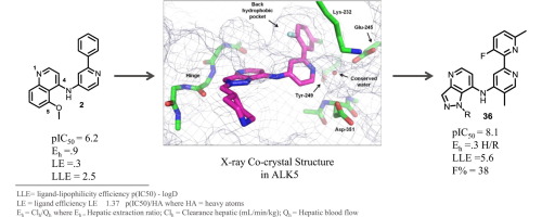 7-取代的吡唑并[4,3-b]吡啶ALK5（激活素受体样激酶5）抑制剂的设计，合成和优化,Bioorganic & Medicinal ...